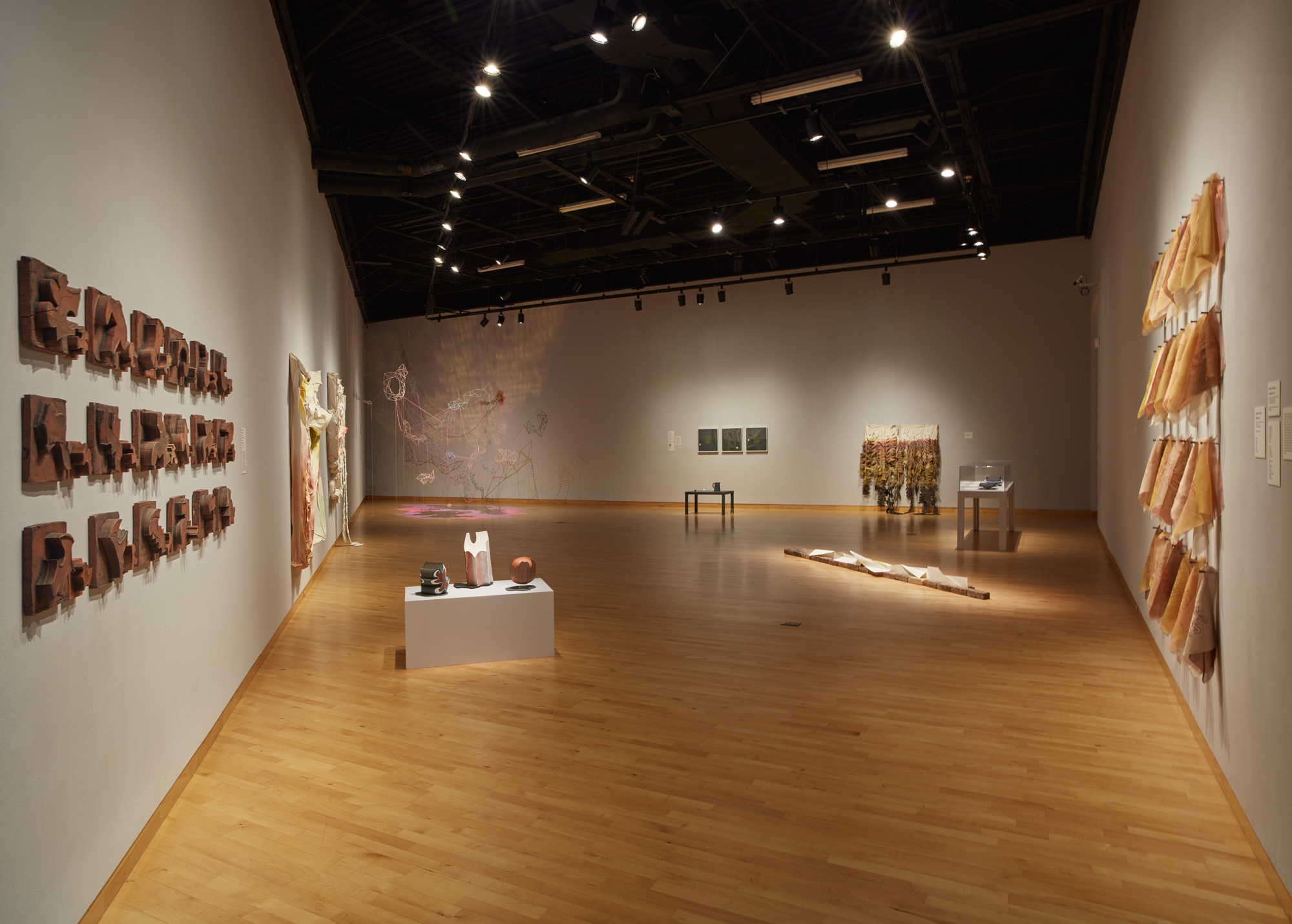 Skyway 20/21: A Contemporary Collaboration | Exhibitions | USF CAM ...