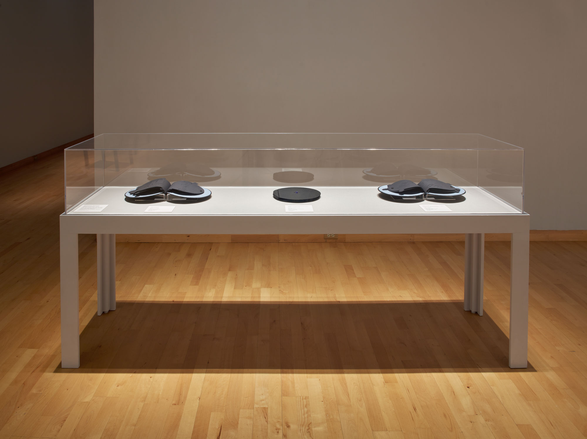 Skyway 20/21: A Contemporary Collaboration | Exhibitions | USF CAM ...